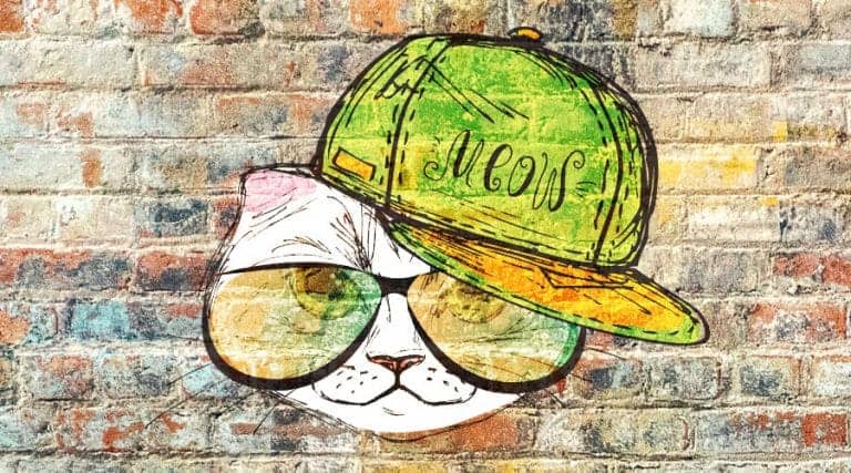 101+ Rapper Cat Names - From Hip Hop Culture - Find Cat Names